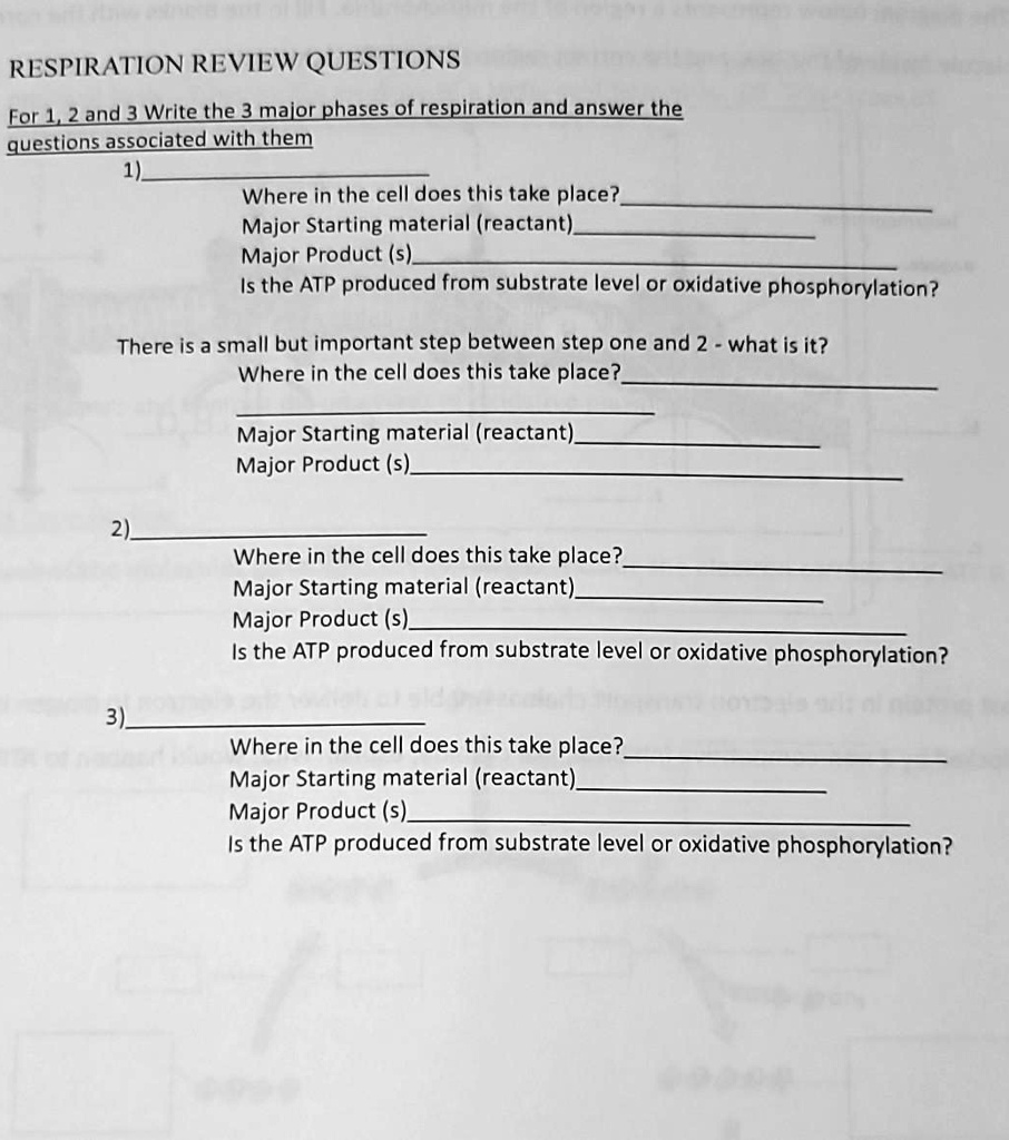 SOLVED: Respiration Review Questions For 1, 2, and 3, write the 3 major ...
