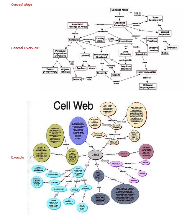 Create a CONCEPT MAP (example of a concept map provided below) of the ...