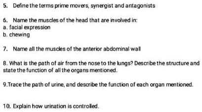 SOLVED: 5. Define the terms prime movers, synergists, and antagonists ...