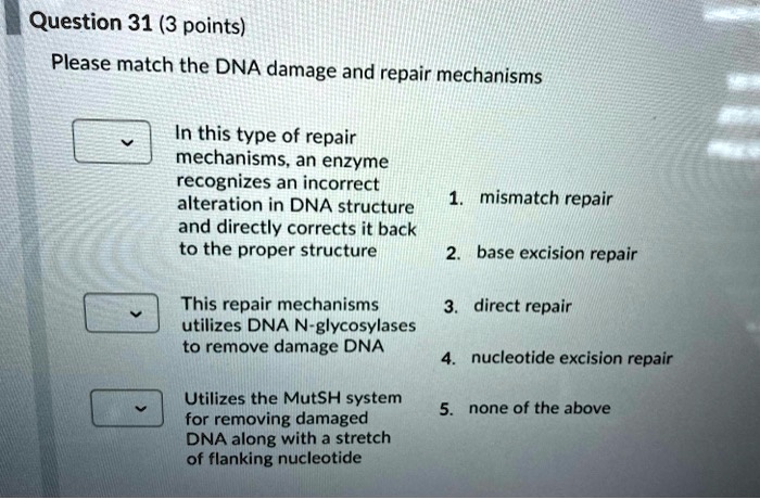 SOLVED: Question 31 (3 points) Please match the DNA damage and repair ...