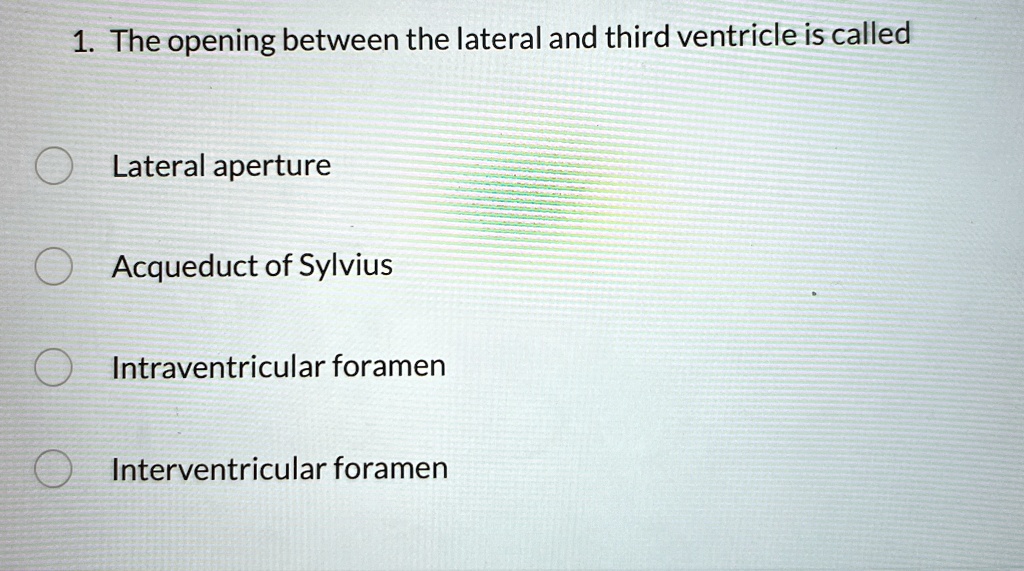 1 the opening between the lateral and third ventricle is called lateral ...