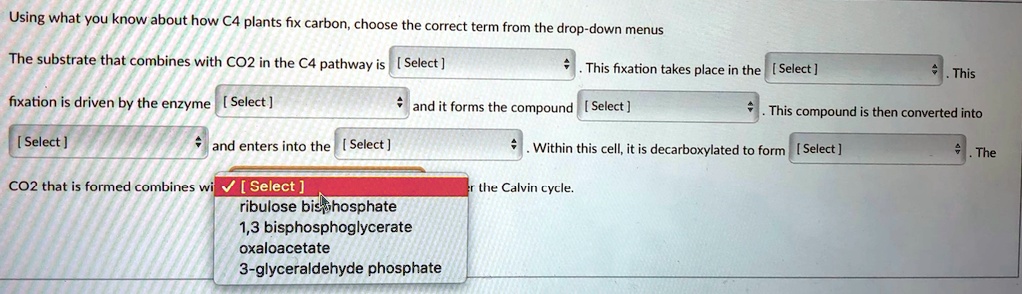 SOLVED:Using what you know about how C4 plants fx carbon; choose the ...