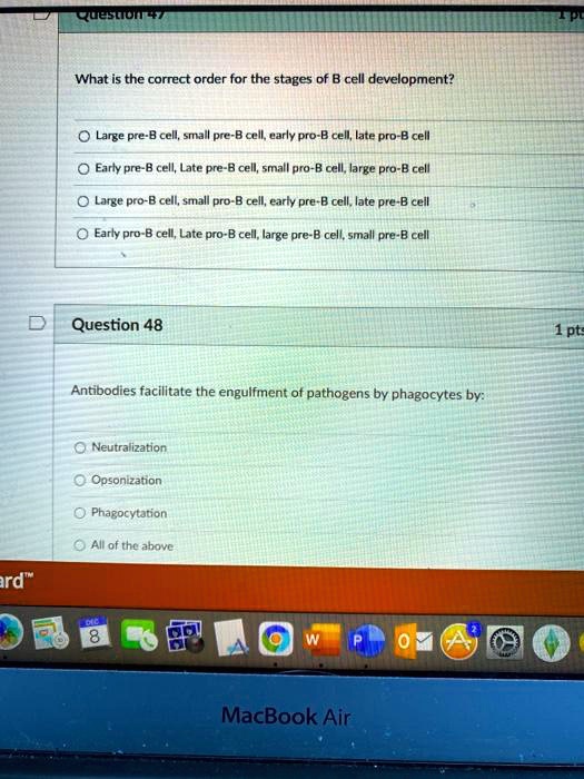 please answer both im begging you what is the correct order for the ...