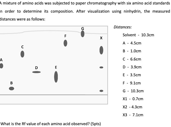 A mixture of amino acids was subjected to paper chromatography with six ...