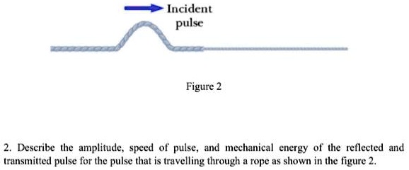 SOLVED: Incident pulse Figure 2 Describe the amplitude, speed of" pulse ...
