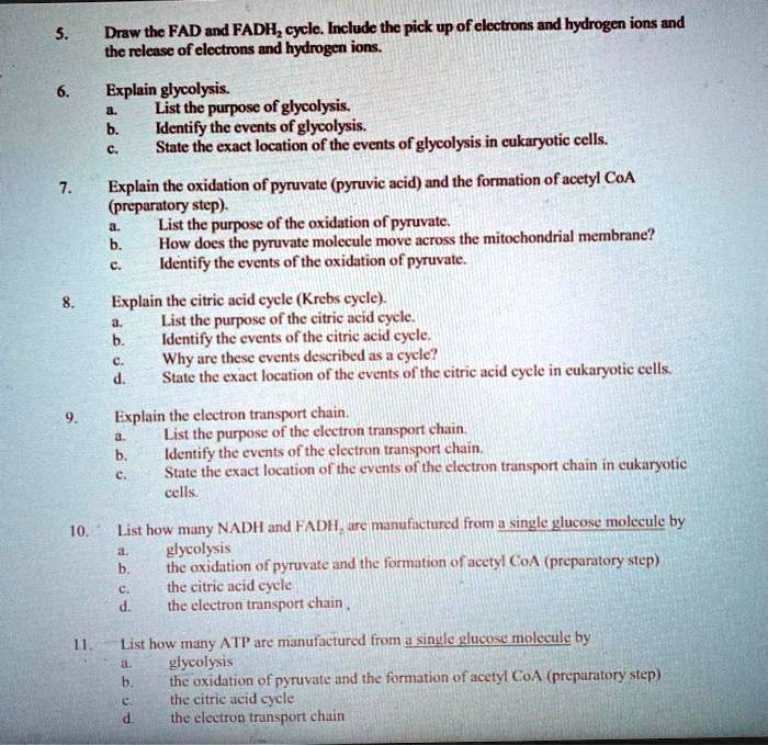 SOLVED: Text: Draw the FAD and FADH2 cycle. Include the pickup of ...
