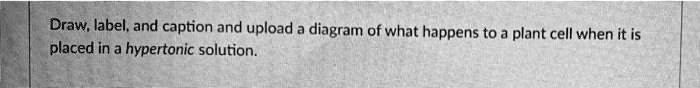 Draw, label, and caption and upload a diagram of what happens to a ...