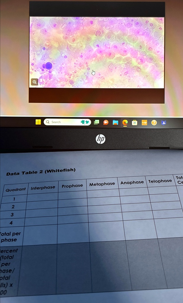 Data Table 2 (Whitefish) Count the number of cells in each phase ...