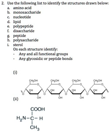 2. Use the following list to identify the structures drawn below: a ...