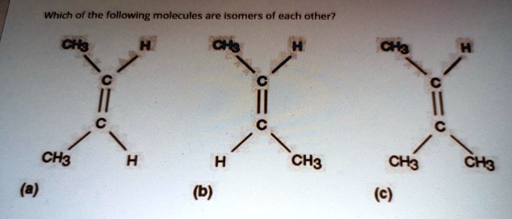 Which of the following molecules are isomers of each other? CH3 (a) CH3 ...
