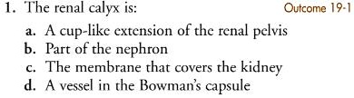 1. The renal calyx is: a. A cup-like extension of the renal pelvis b ...