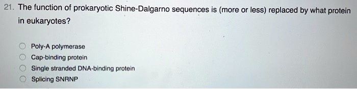 VIDEO solution: The function of prokaryotic Shine-Dalgarno sequences is ...