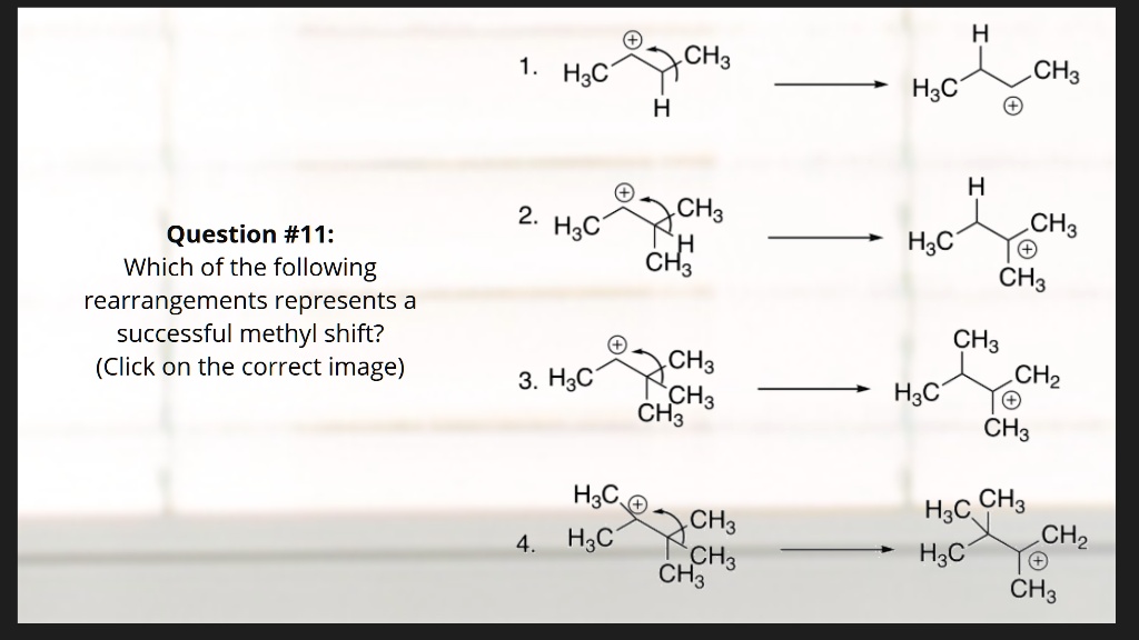 SOLVED: CH3 CH3 H3C 38H 2 CH3 H3C CH3 CH3 38H CH3 Question #11: Which of the following ...