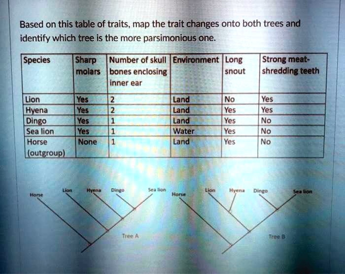 SOLVED:Based on this table of traits, map the trait changes onto both ...
