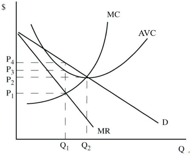 MC AVC P4 P3 P2 P1 MR D Q1 Q2 Q