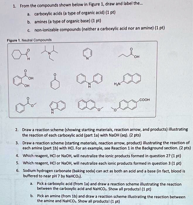 1. From the compounds shown below in Figure 1, draw and label the... a ...