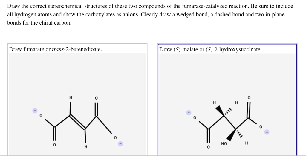 draw the correct stereochemical structures of these two compounds of ...