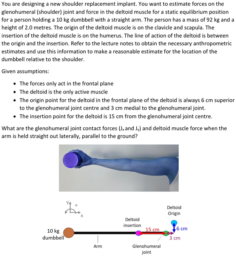 you are designing a new shoulder replacement implant you want to ...
