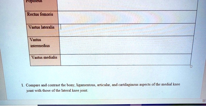 Popliteus Rectus femoris Vastus lateralis Vastus intermedius Vastus ...