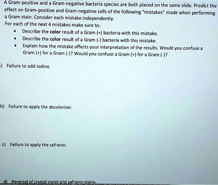 A Gram-positive and a Gram-negative bacteria species are both placed on ...