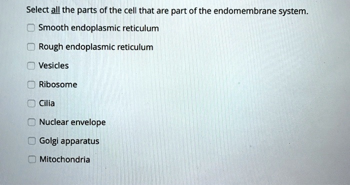 select all the parts of the cell that are part of the endomembrane system smooth endoplasmic ...