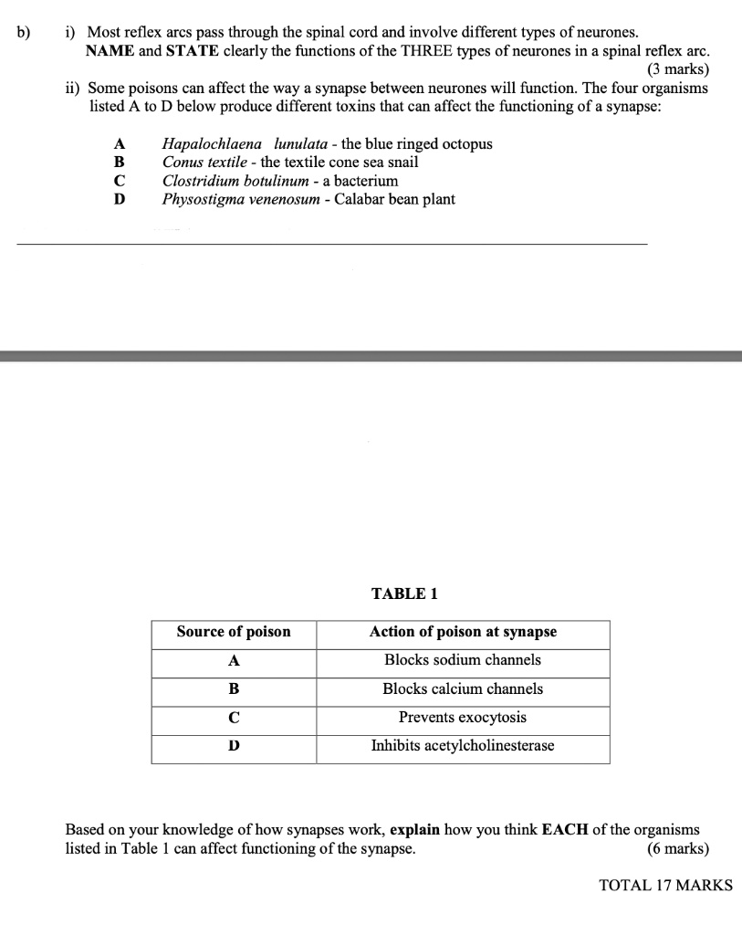 b) i) Most reflex arcs pass through the spinal cord and involve ...