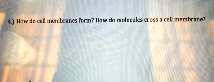 SOLVED: 4) How do cell membranes form? How do molecules cross a cell ...