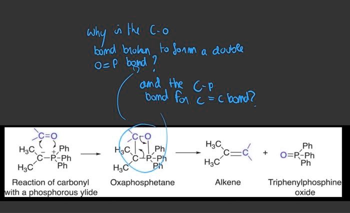 Why do C-O bonds form in a double bond? And why is the C-P bond in a 1 ...