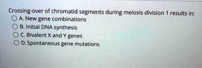 SOLVED: Crossing-over of chromatid segments during meiosis division 1 ...