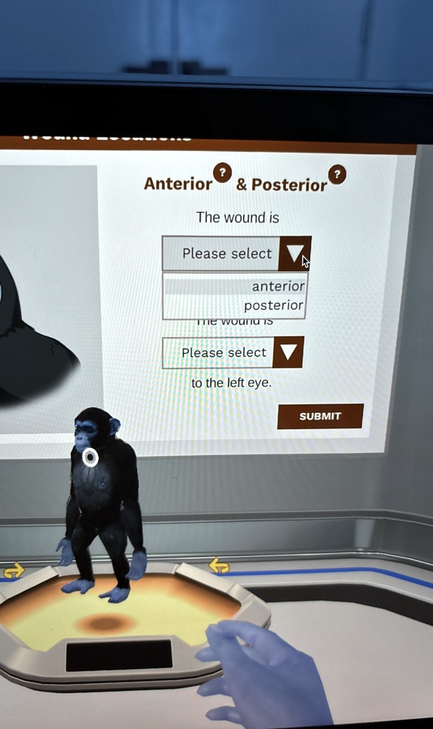 Anterior Posterior The wound is Please select anterior posterior The ...