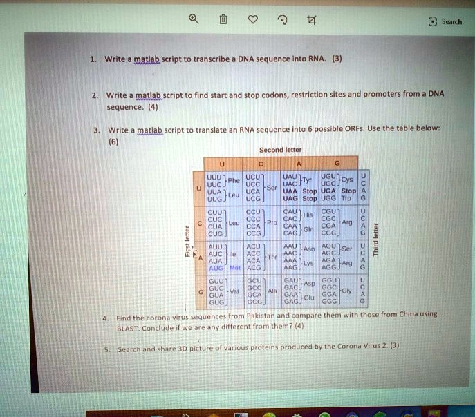 SOLVED: Write MATLAB script to transcribe DNA sequence into RNA. Write ...