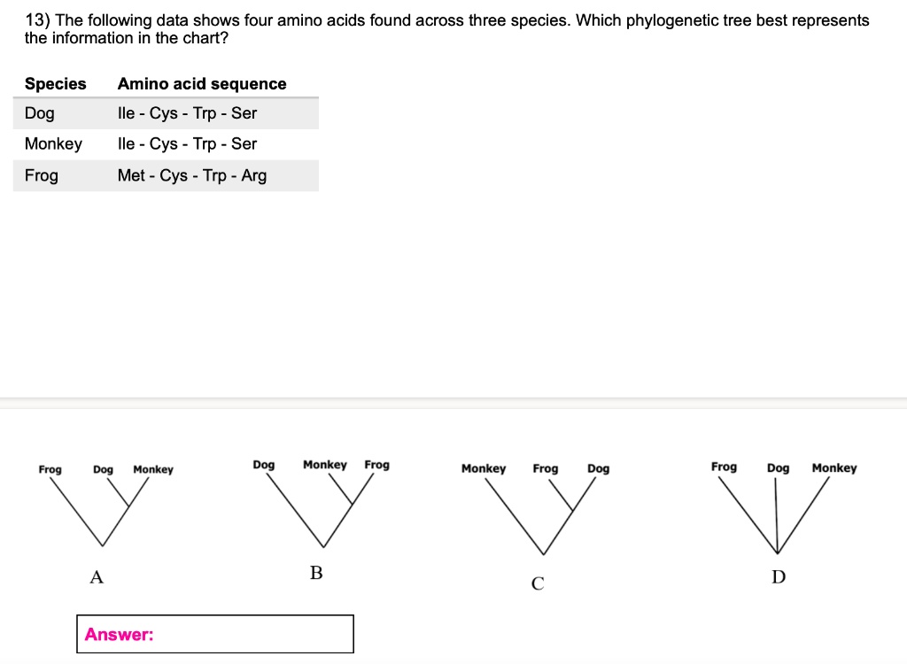 13) The following data shows four amino acids found across three ...