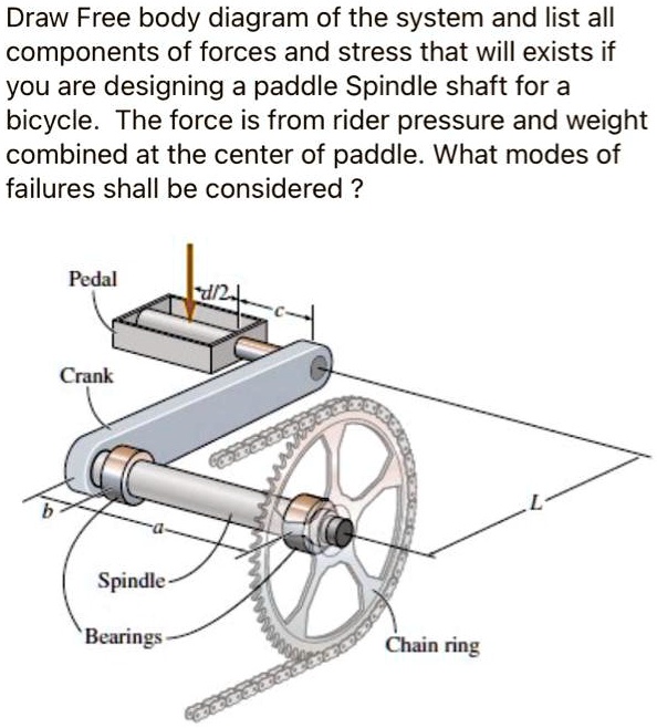 SOLVED: Draw Free body diagram of the system and list all components of ...