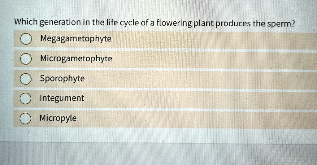 which generation in the life cycle of a flowering plant produces the ...