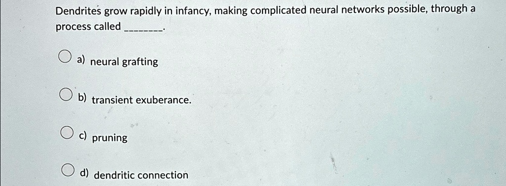 Dendrites grow rapidly in infancy, making complicated neural networks ...