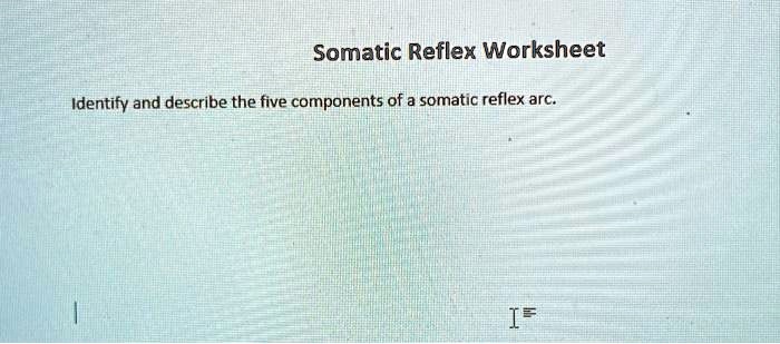 SOLVED: Somatic Reflex Worksheet Identify and describe the five ...