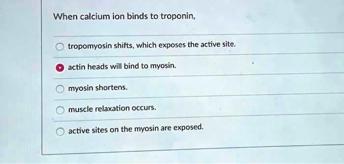 SOLVED: When calcium ion binds to troponin, tropomyosin shifts, which exposes the active site ...