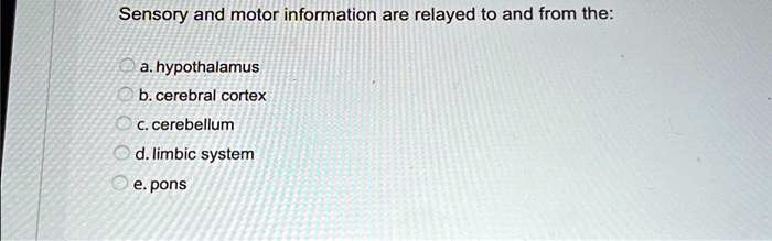 SOLVED: Sensory and motor information are relayed to and from the: a. hypothalamus Ob. cerebral ...