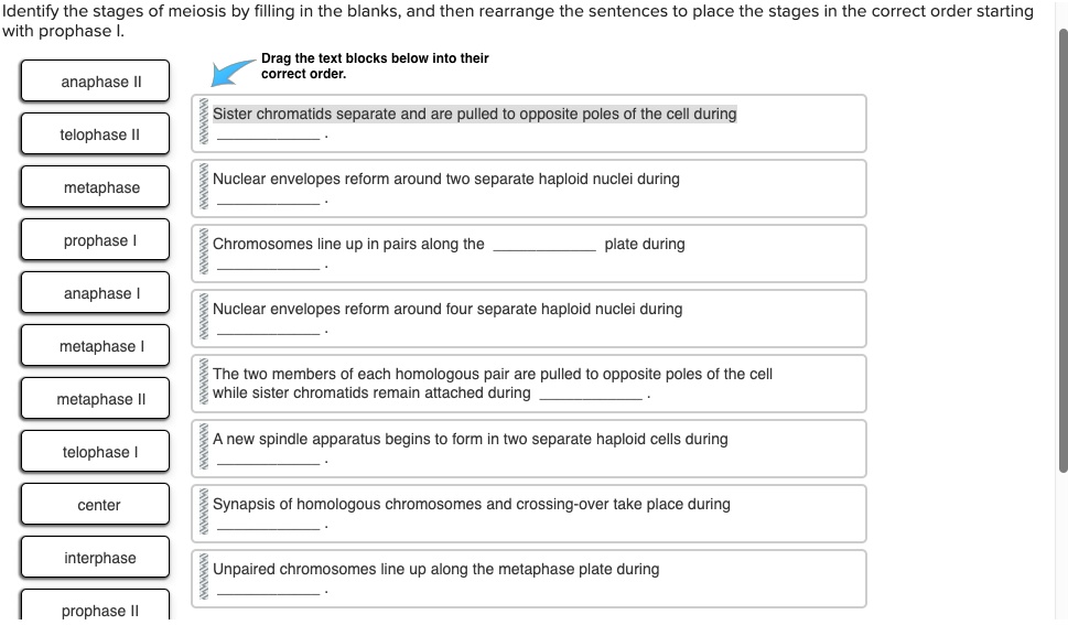 SOLVED Identify The Stages Of Meiosis By Filling In The Blanks And solved-identify-the-stages-of-meiosis-by-filling-in-the-blanks-and