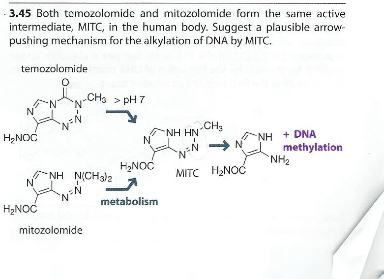 3.45 Both temozolomide and mitozolomide form the same active ...
