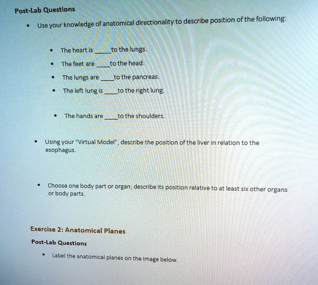 Post-Lab Questions Use your knowledge of anatomical directionality to ...
