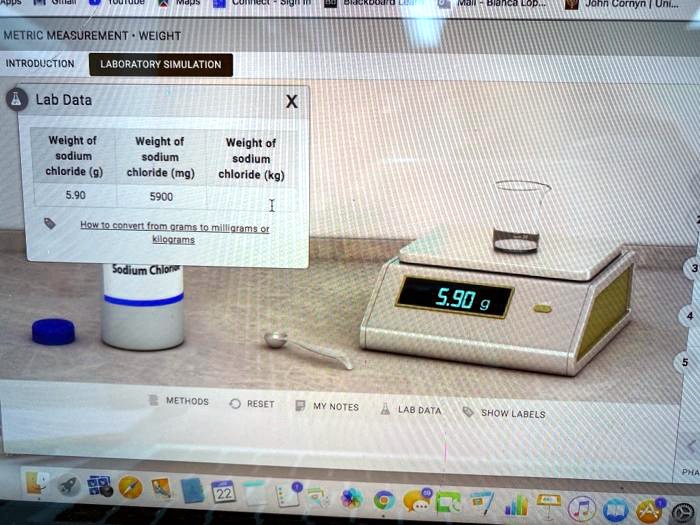 coryn metric mea surement weight introduction laboratory simulation lab ...