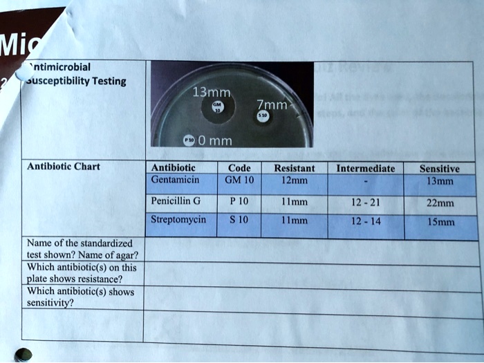 SOLVED: Mio ntimicrobial susceptibility Testing 13mm Zmm 0 mm ...