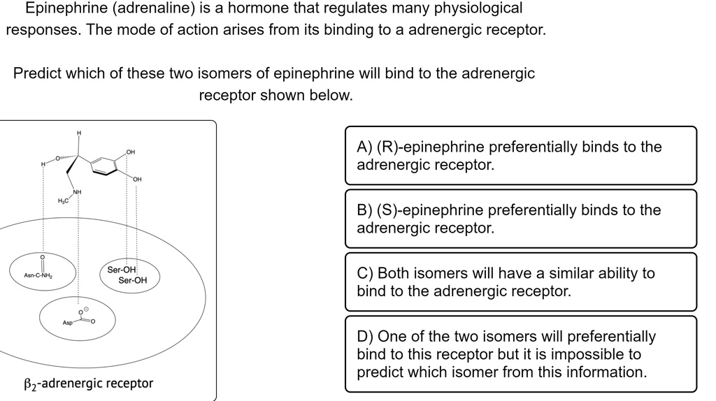 epinephrine adrenaline is a hormone that regulates many physiological ...