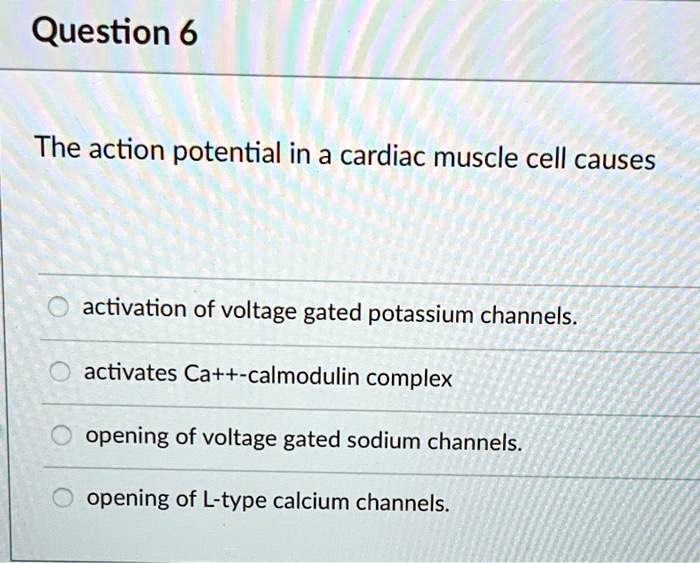 Question 6 The action potential in a cardiac muscle cell causes ...