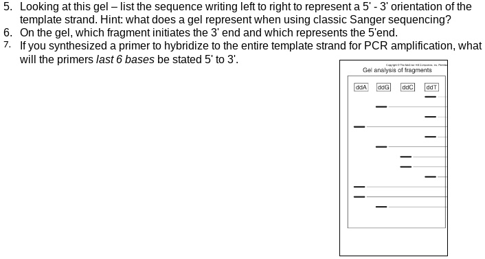 looking at this gel list the sequence writing left to right to ...