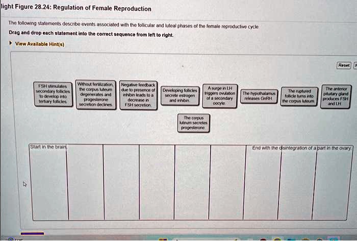 light Figure 28.24: Regulation of Female Reproduction The following ...
