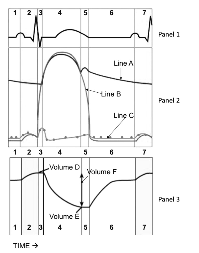 SOLVED: 1. Using the Big Figure, if Line B were 10% higher during time ...