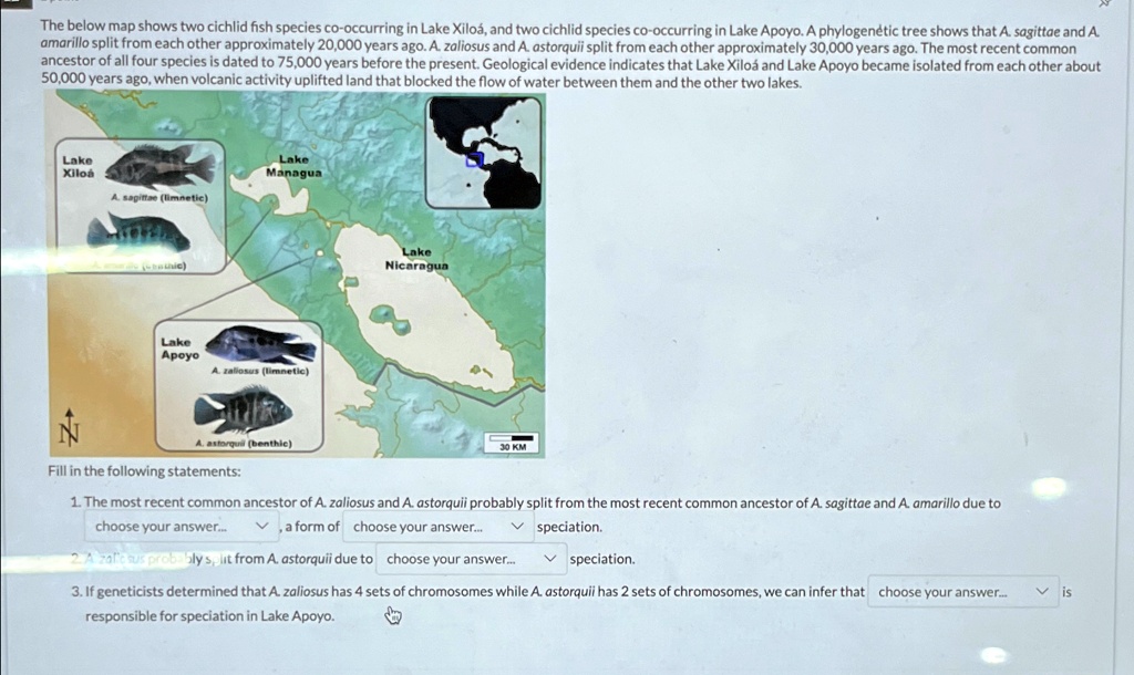 The below map shows two cichlid fish species co-occurring in Lake Xiloá ...