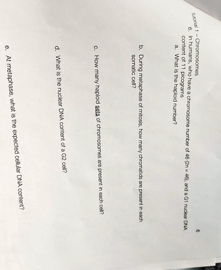 SOLVED: Tutorial 1 - Chromosomes 6 6. In humans, who have a chromosome ...